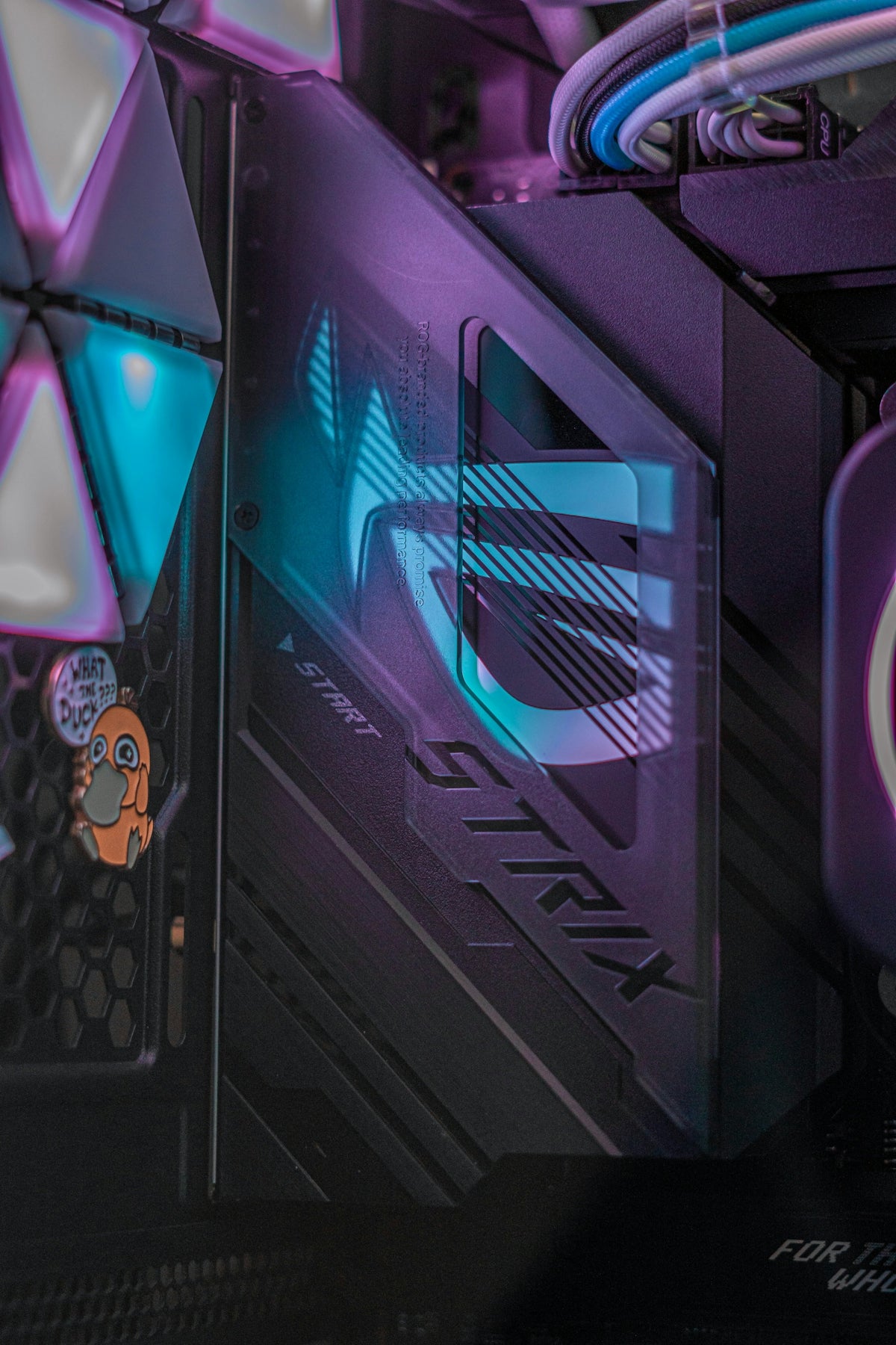 How to Master Performance Settings for Competitive PC Games – PC Gamez USA